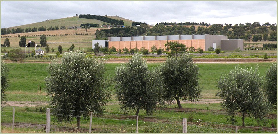 Images from 2015 Olive Exposium – Lore of the olive! – olive exposium